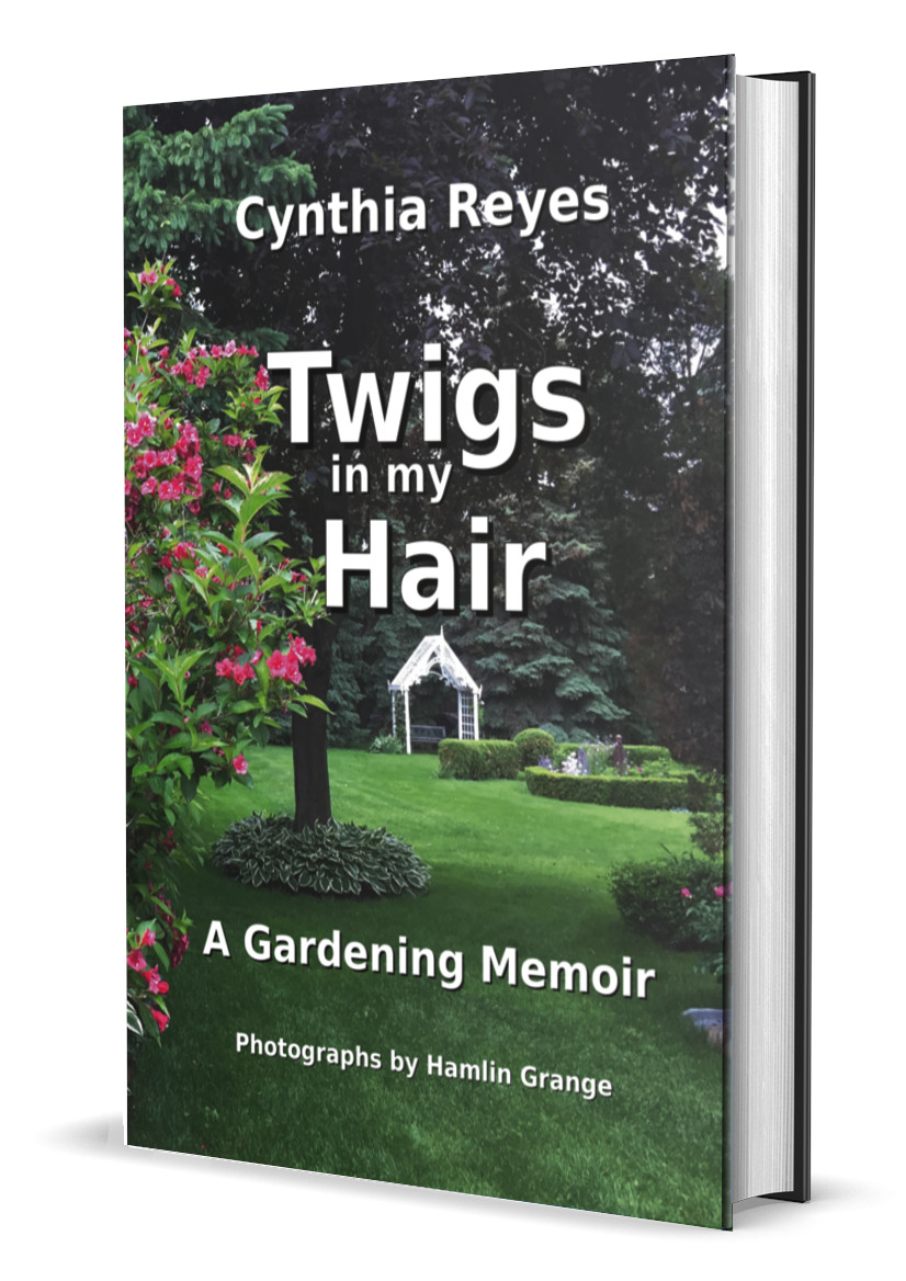 The Story Behind the Story – Cynthia Reyes